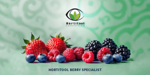 Agrovision becomes Fruitist: new brand to lead global superfruit market