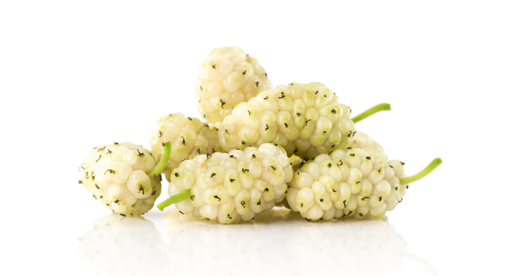 Dizionario dei piccoli frutti