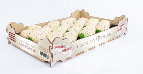 Florida Pearl™: are white strawberries the fifth berry?